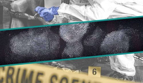 What is a Latent Fingerprint? Unveil the Science and Processing